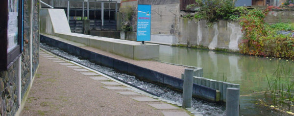 Fisch-Kanu-Pass Fürstenberg/Havel